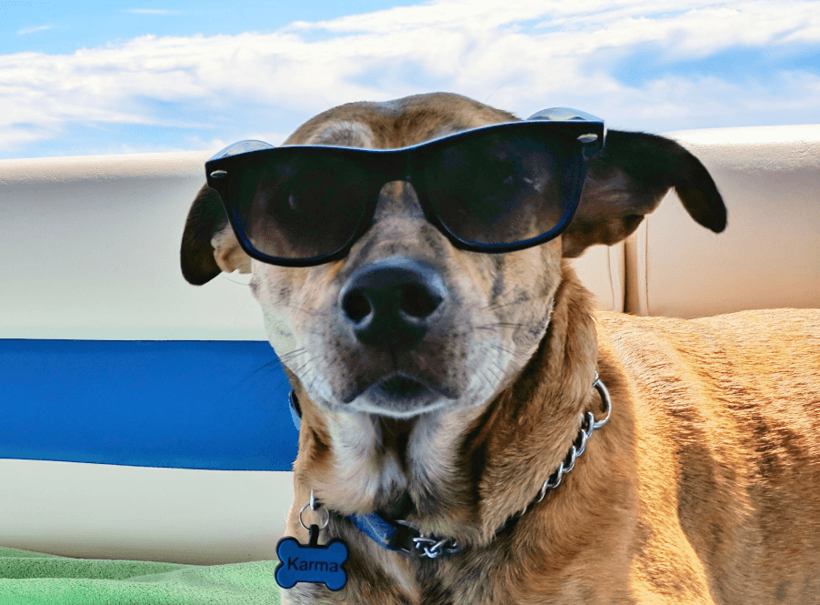 5 Minibreaks for all Cynophilist (Dog Lovers)